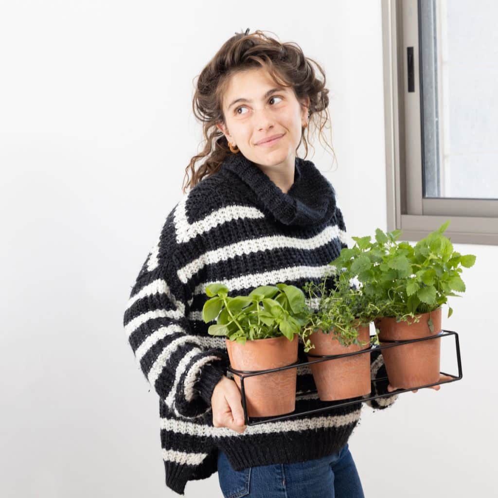 איך לגדל צמחי תבלין בבית - PLANT IT